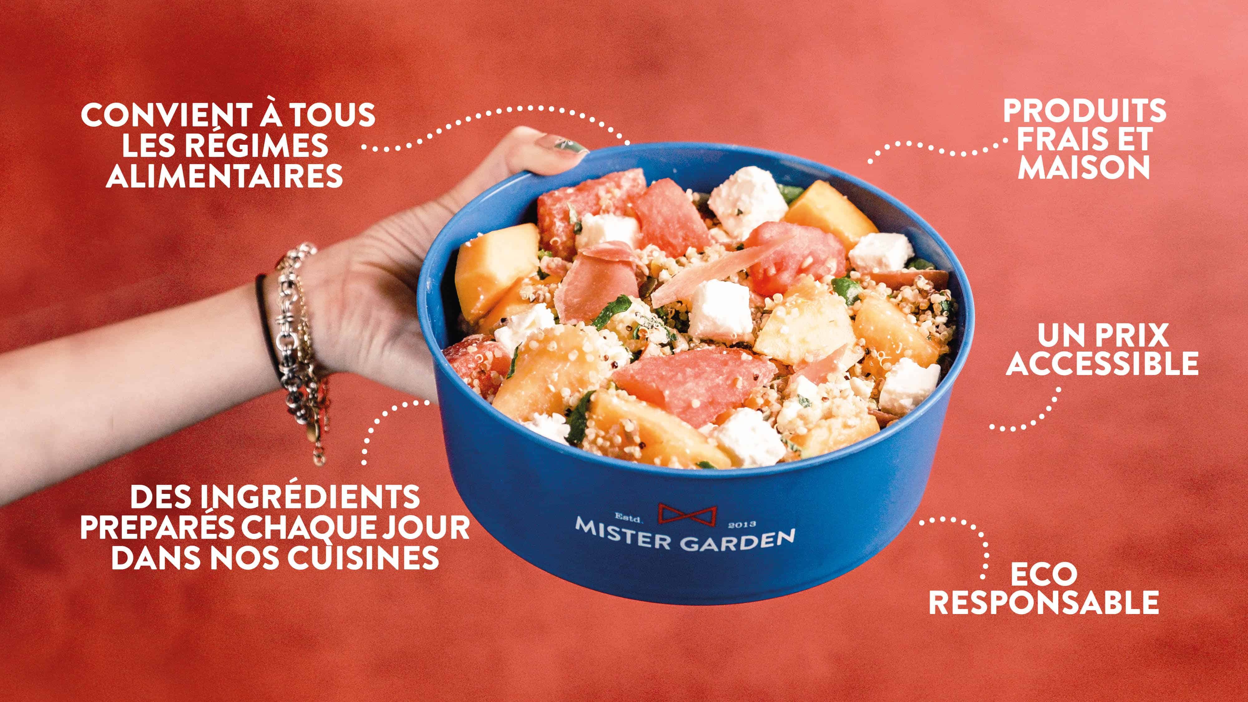 Franchise - Mister Garden